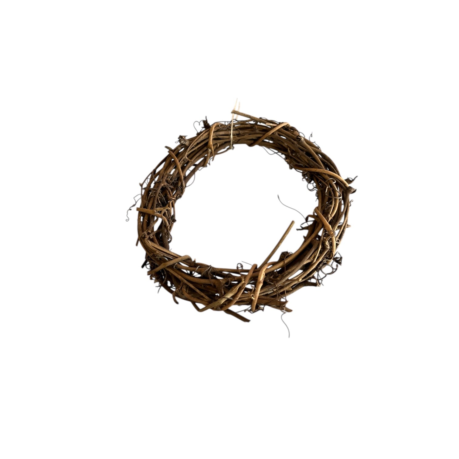 Curly Vine Ring - Natural Rabbit Chew Toy | Mares Mini Lop Bunnies ...